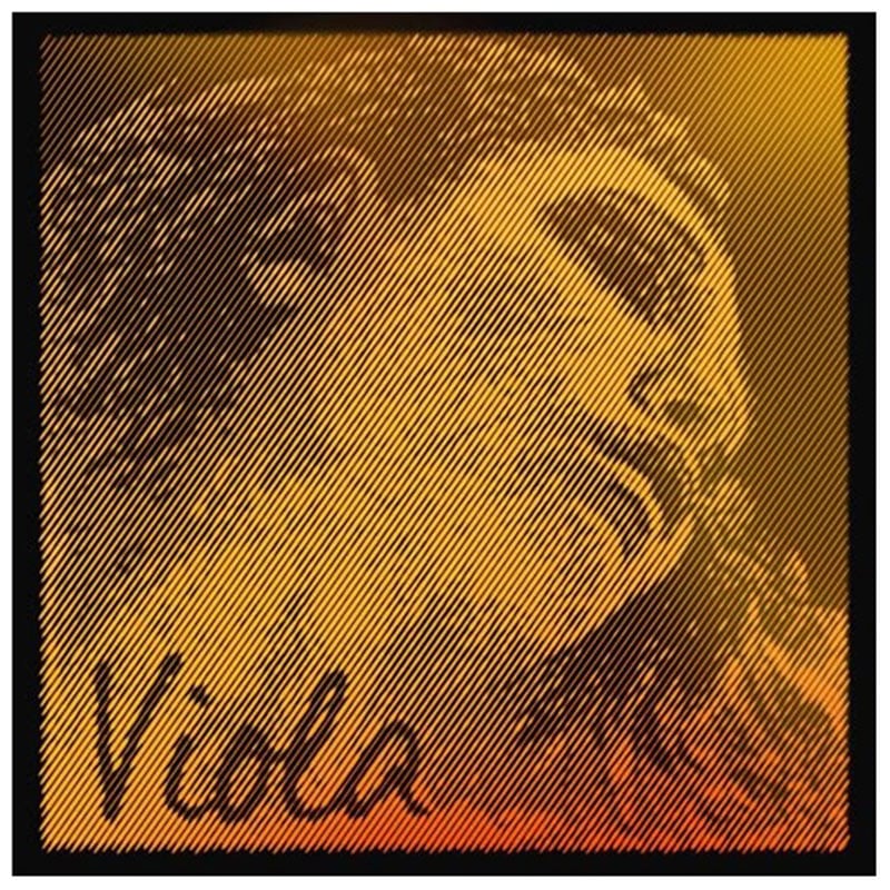 Comprar Cuerdas Para Violas | Luthiers Clar